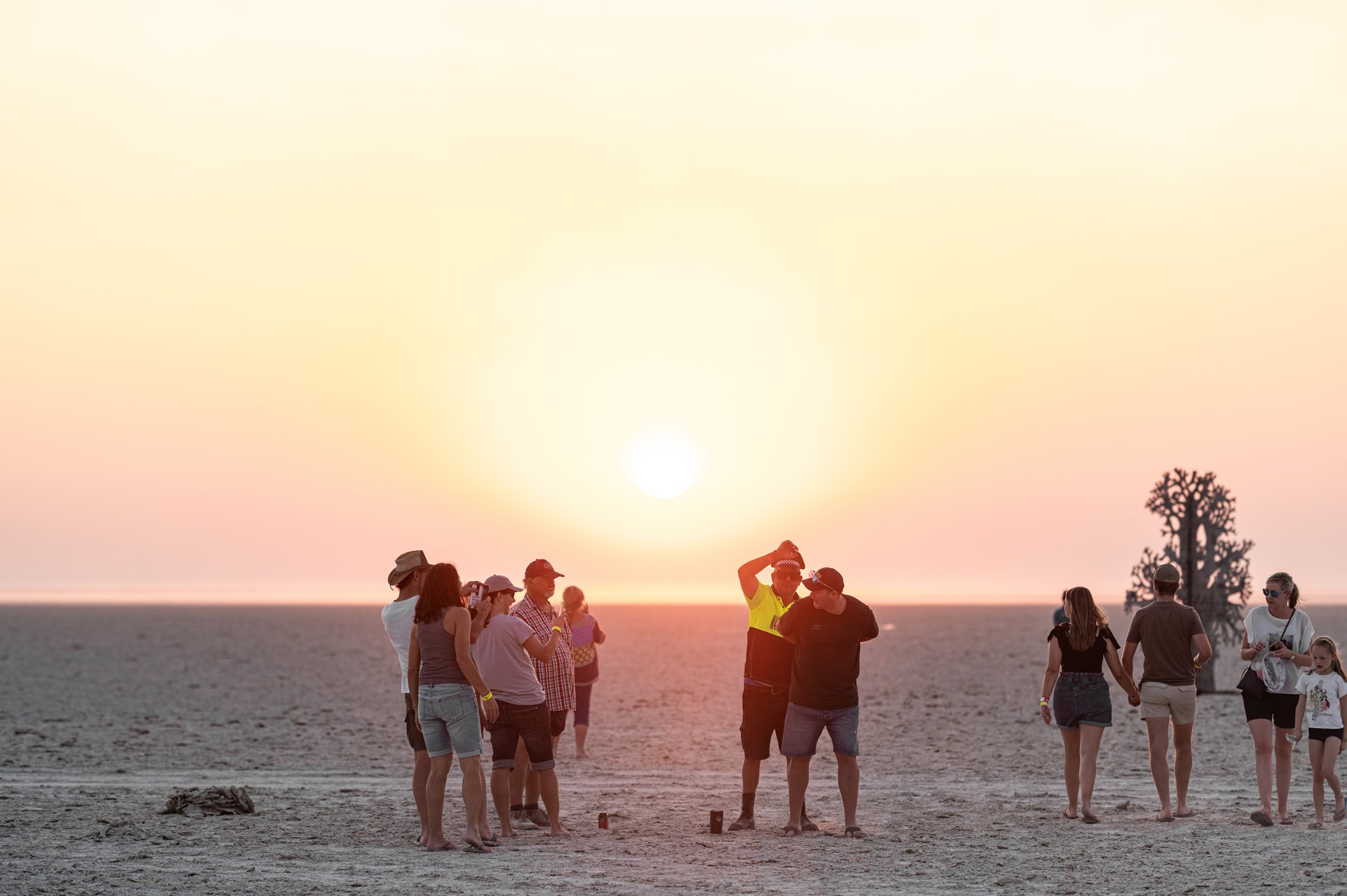 Home - oppipanne.com