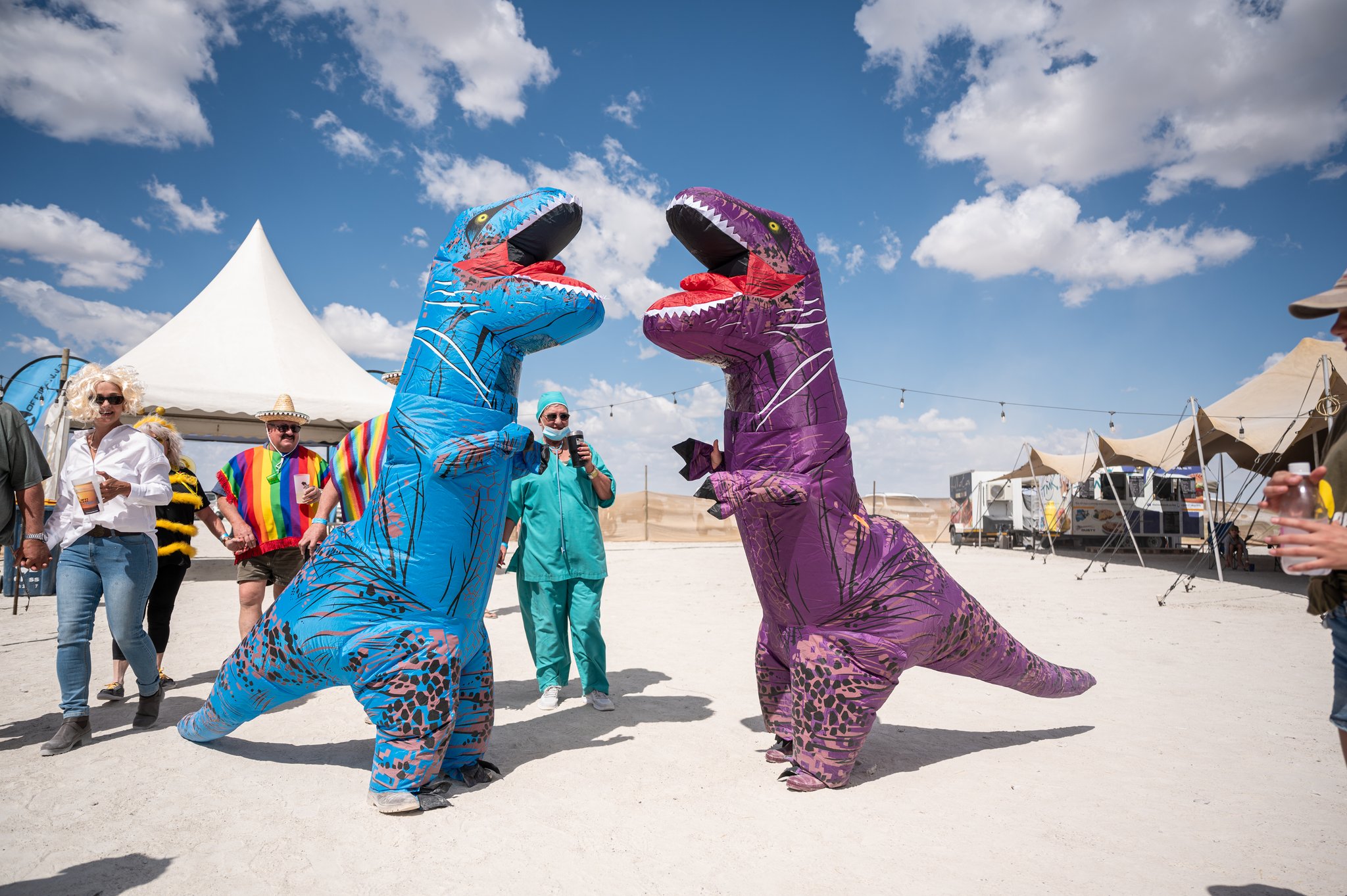 Home - oppipanne.com