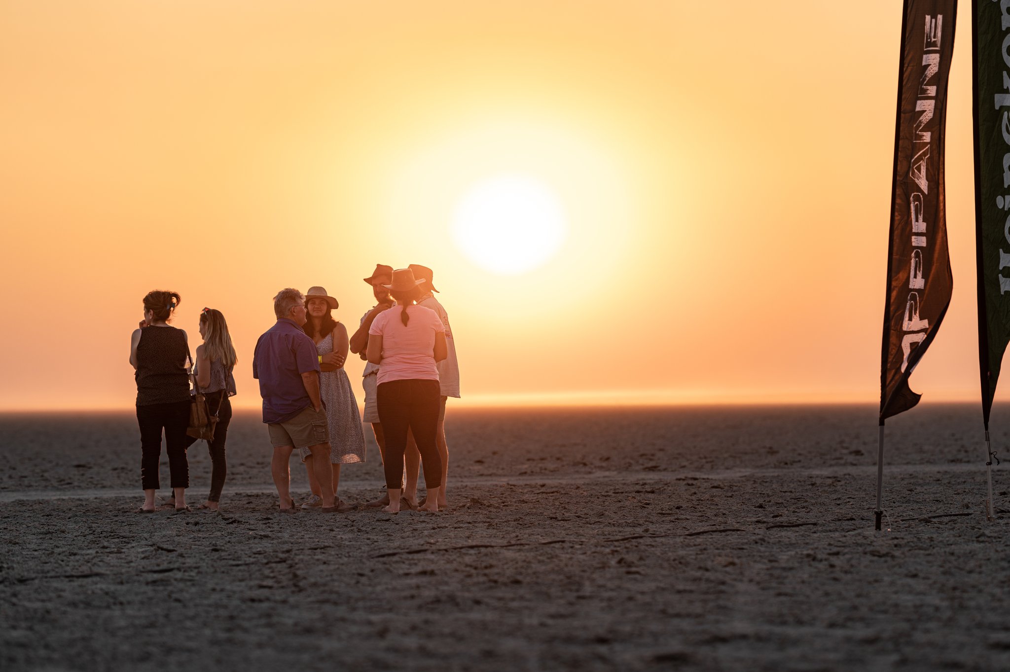 Home - oppipanne.com