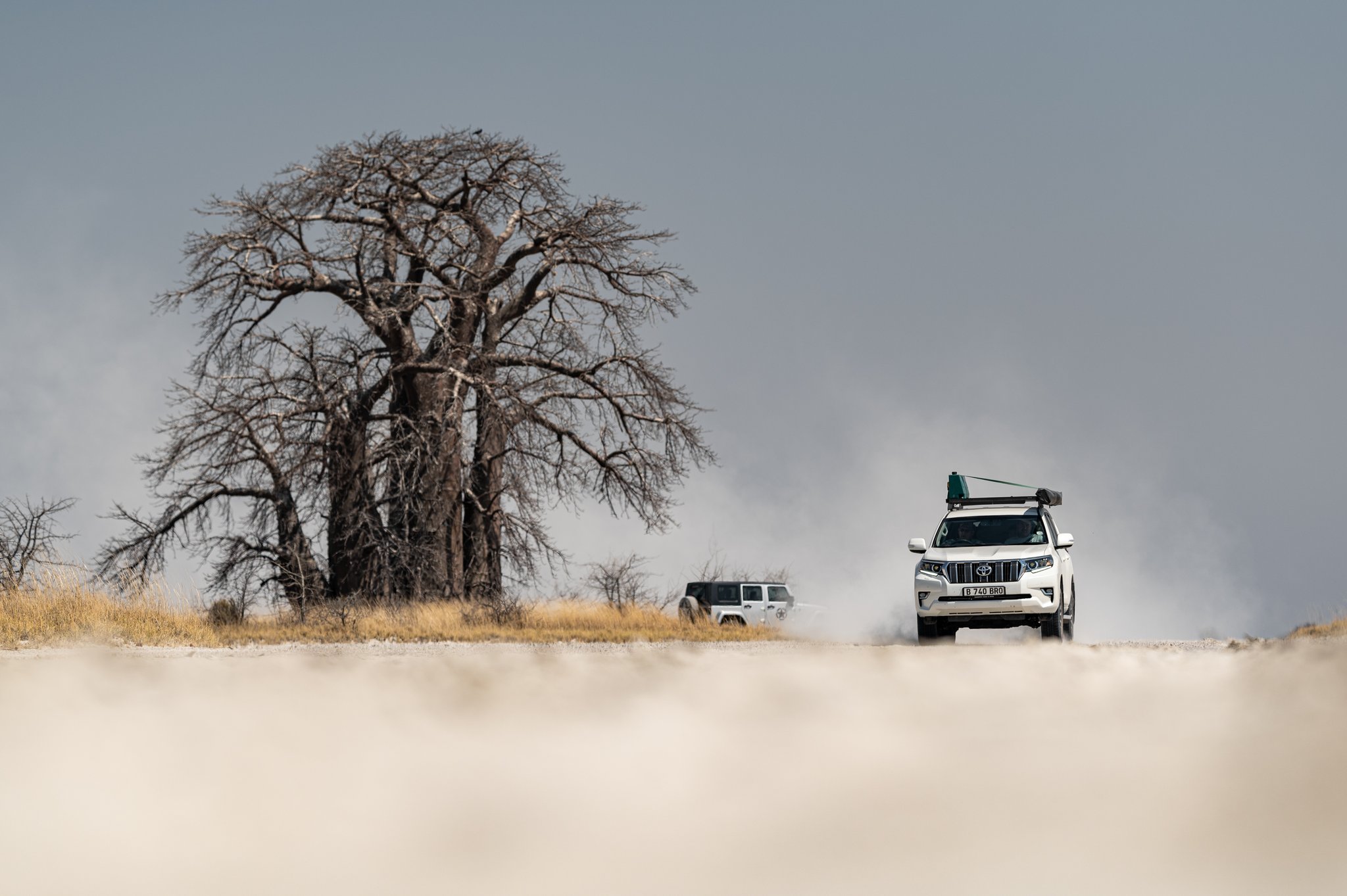 Home - oppipanne.com